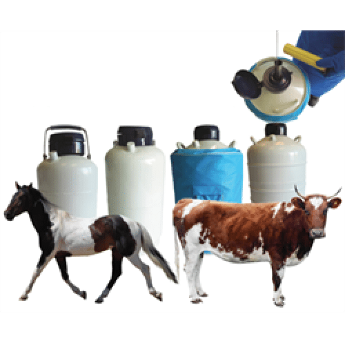 Dewars Lab / Dewar Flask | Ratermann Manufacturing Inc